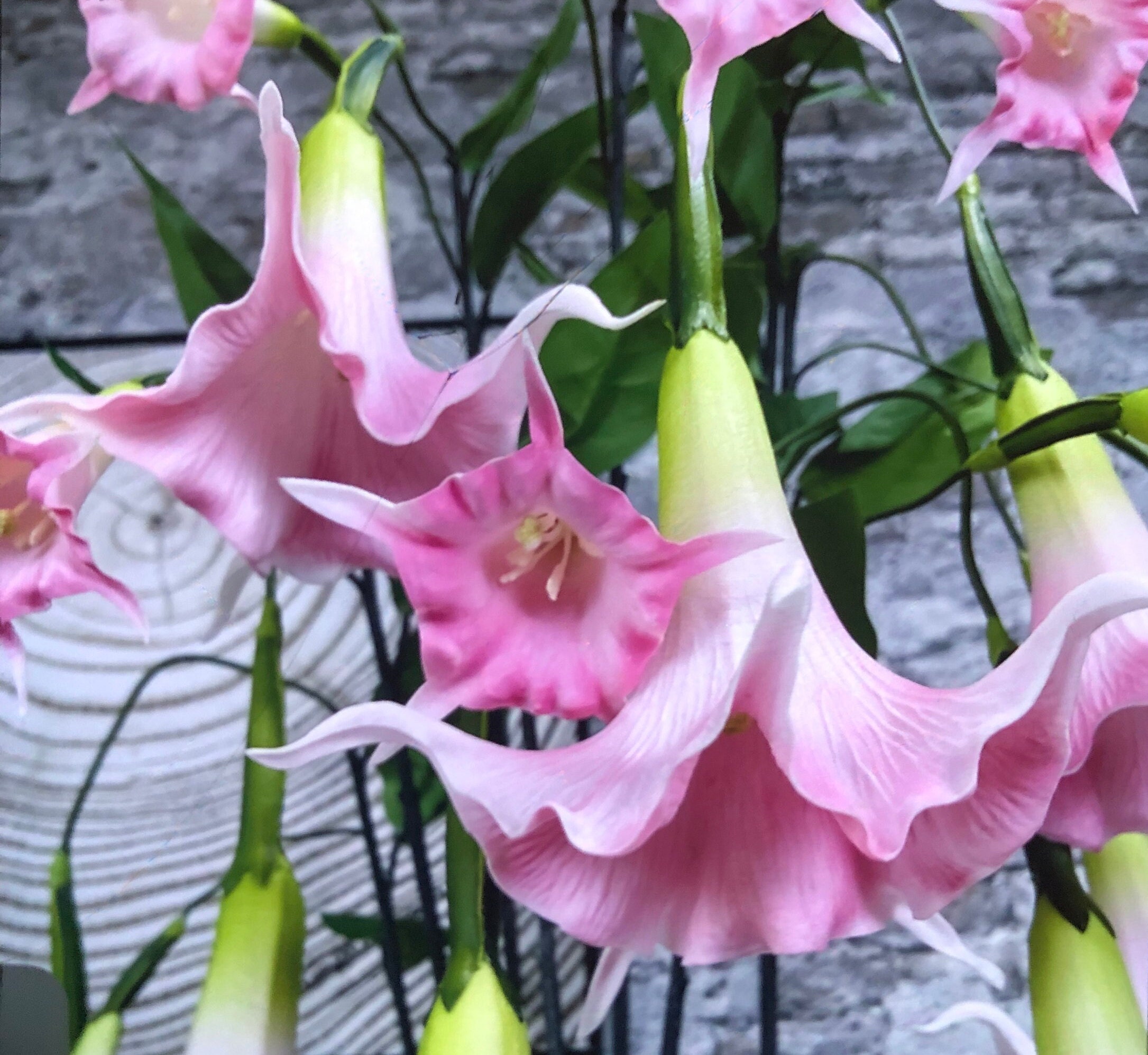 6 Real Touch Angel Trumpet Flowers - Etsy
