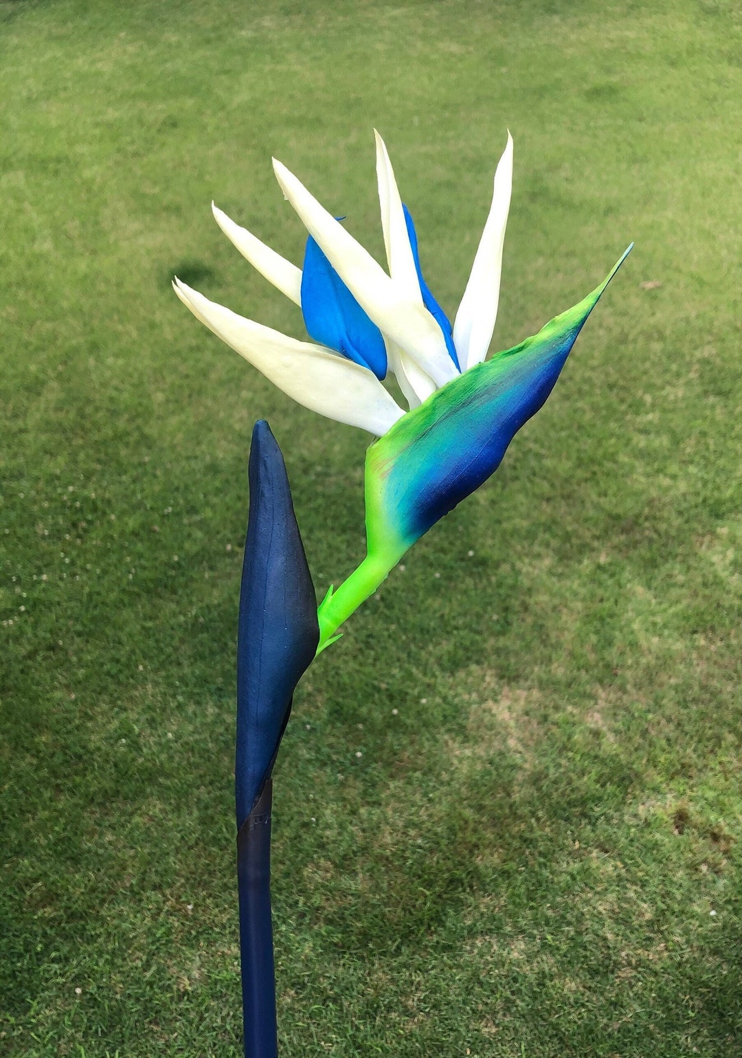 Extra Large Luxurious Real Touch Bird of Paradise - Etsy