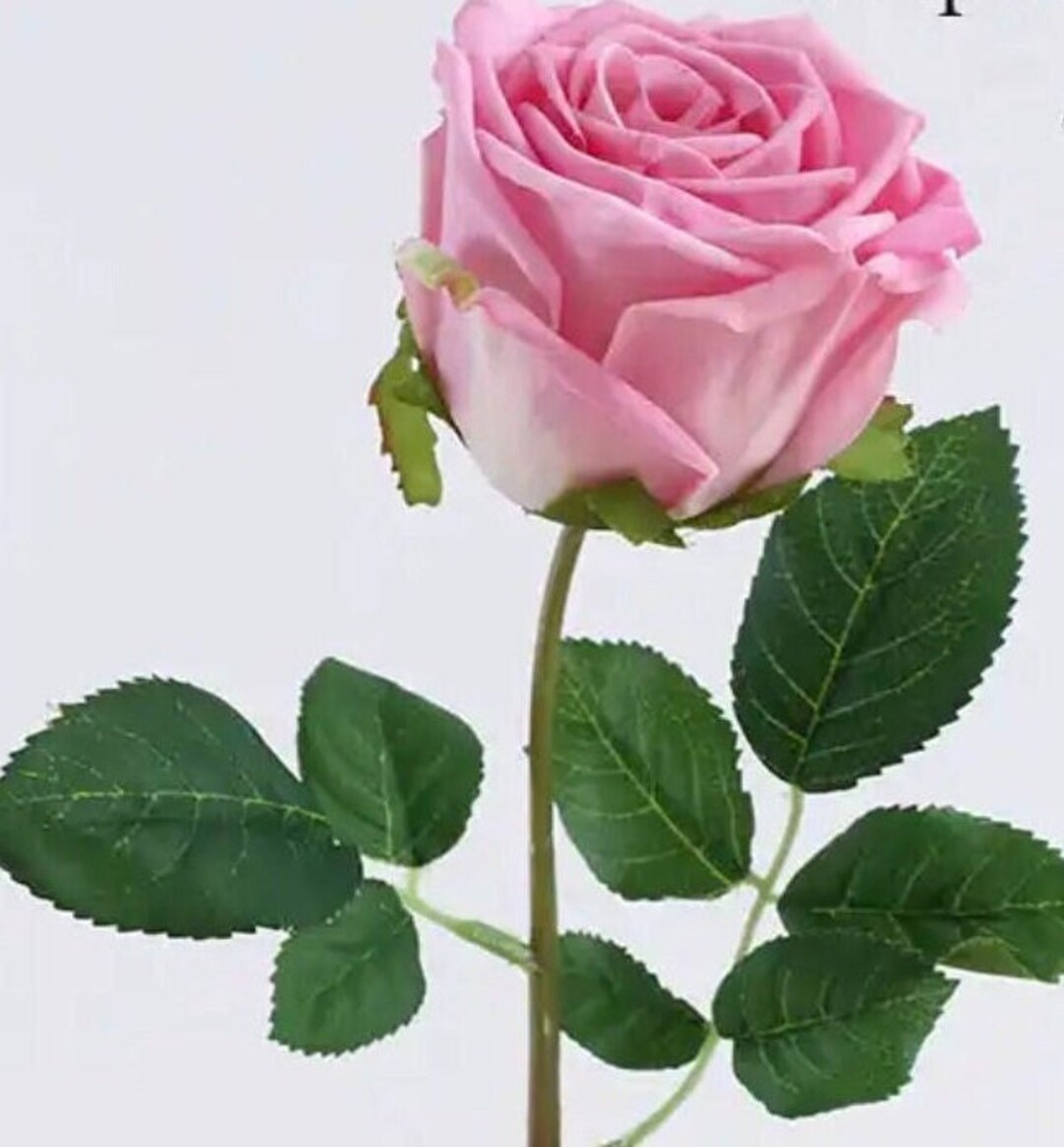 4 Real Touch Roses - Etsy