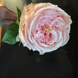 6 Large Luxurious Real Touch Cabbage Roses - Etsy