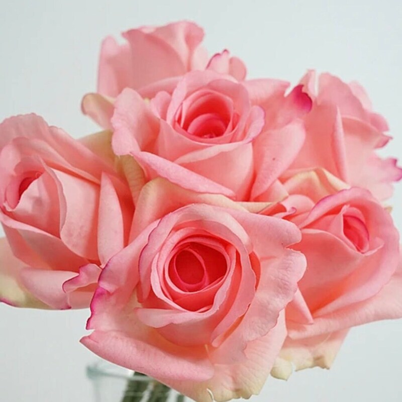 Real Touch Roses - Etsy