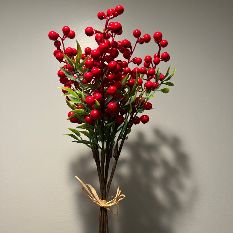 Berry Branches - Etsy