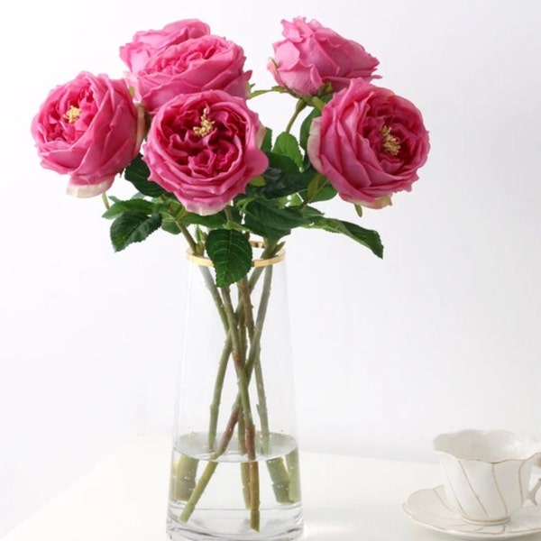 Cabbage Roses - Etsy