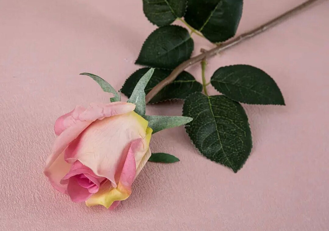 6 Real Touch Roses - Etsy