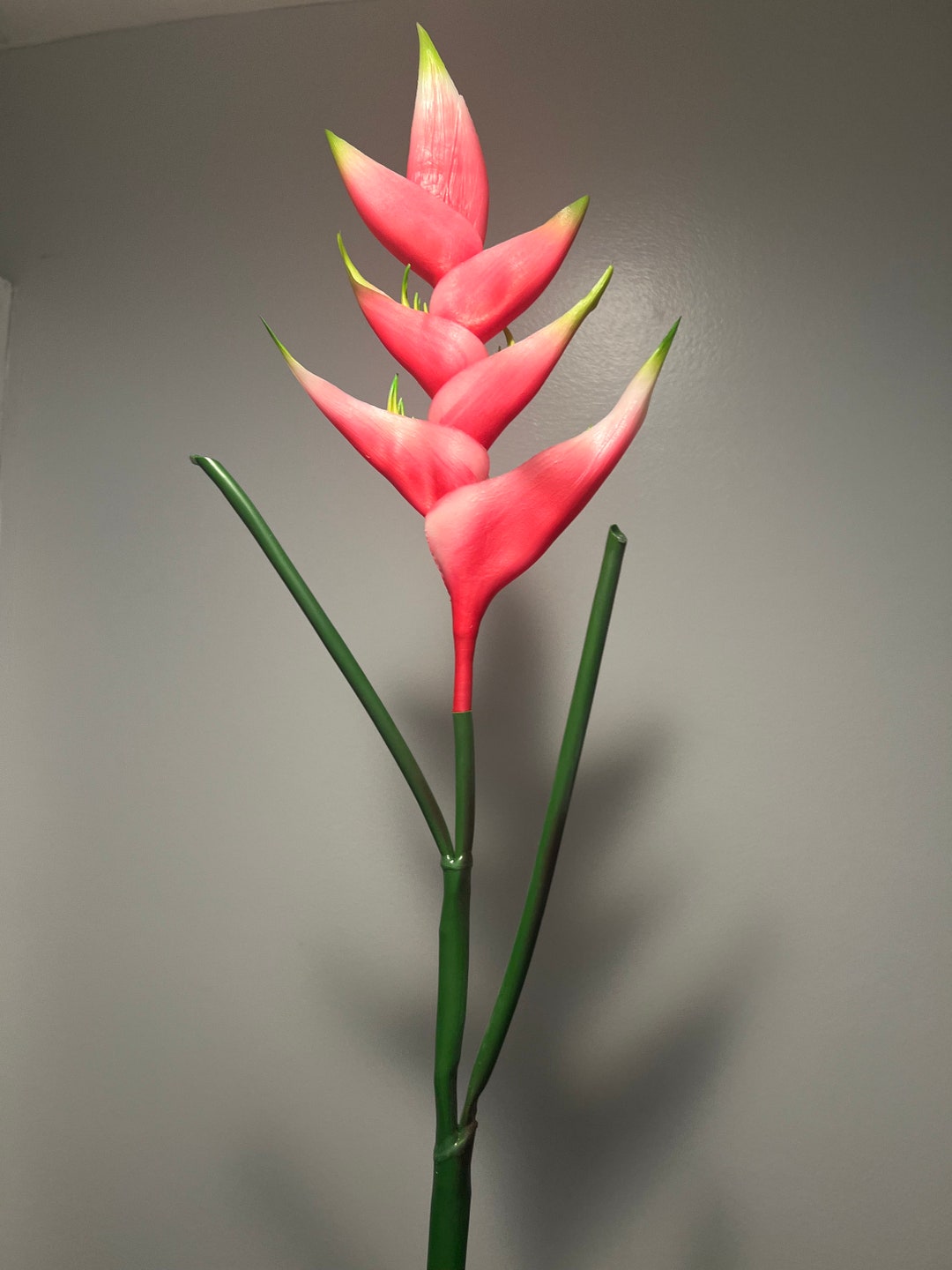 Extra Large Luxurious Real Touch Bird of Paradise - Etsy