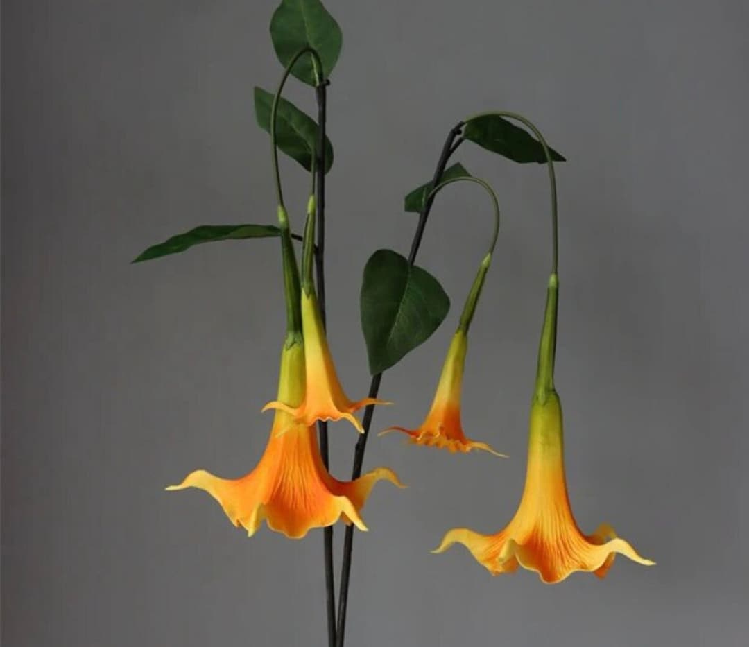 1 Extra Large Real Touch Angel Trumpet Flower With Two Flower Heads - Etsy