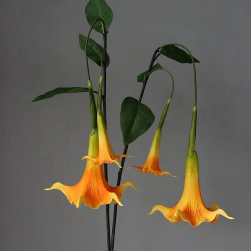 Angel Trumpet - Etsy