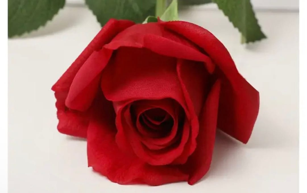 6 Luxurious Real Touch Long Stem Roses - Etsy