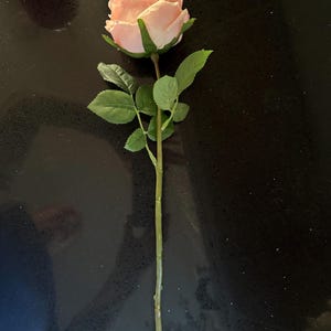 6 Large Luxurious Real Touch Cabbage Roses - Etsy