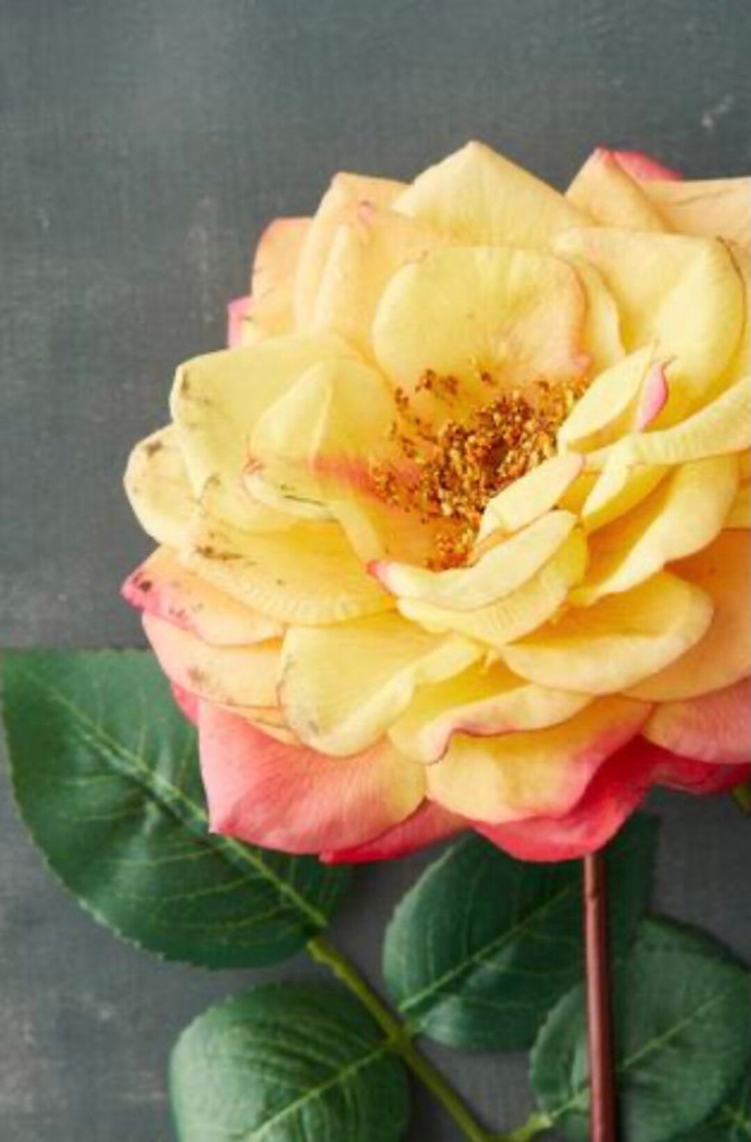 19 Luxury Long Stem Real Touch Roses - Etsy