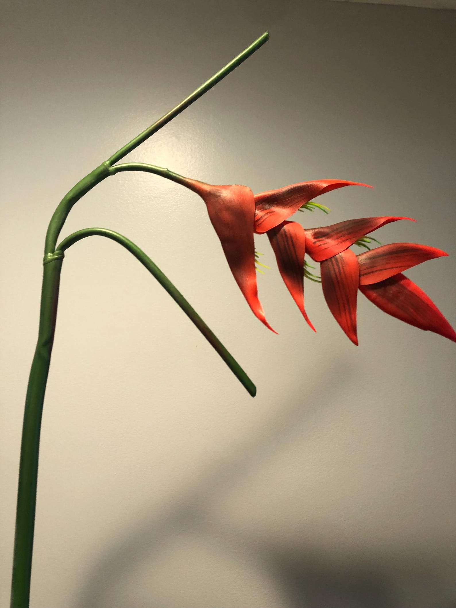 Extra Large Luxurious Real Touch Bird of Paradise - Etsy