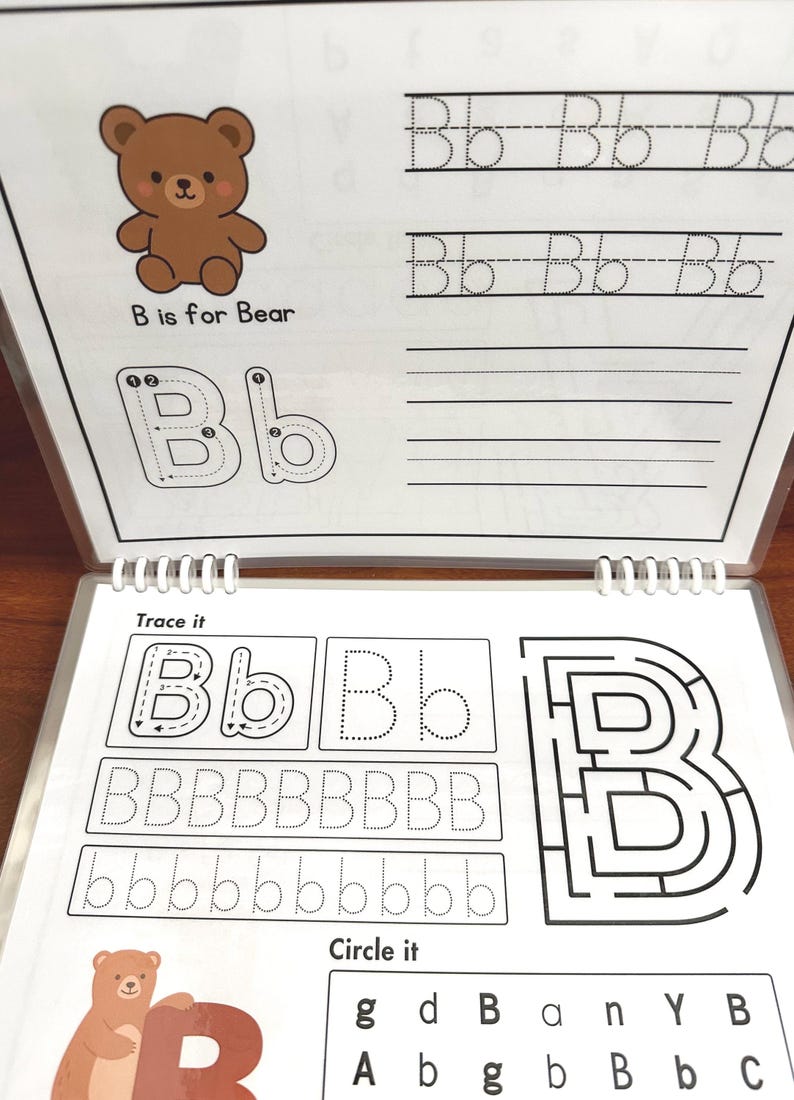 Custom Alphabet (animal Themed) Tracing Workbook (marker Included ...