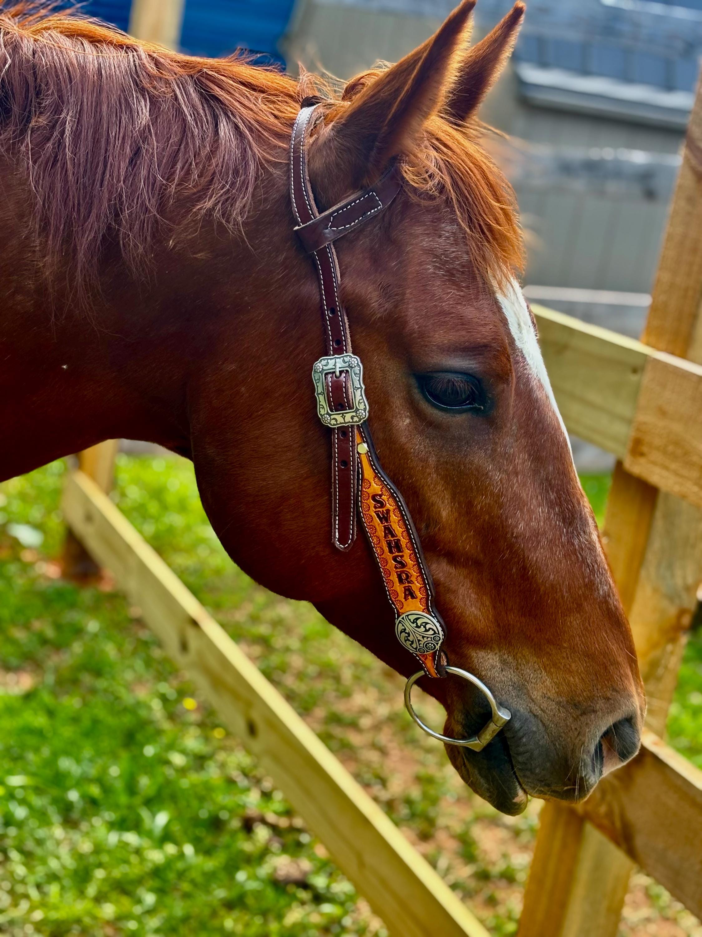 Trophy Single/slide Ear Headstall - Etsy