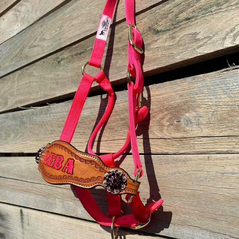 Bronc Halter - Etsy
