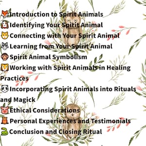 Spirit Animal Guidebook Digital "pdf" - What is Spirit Animal - What ...