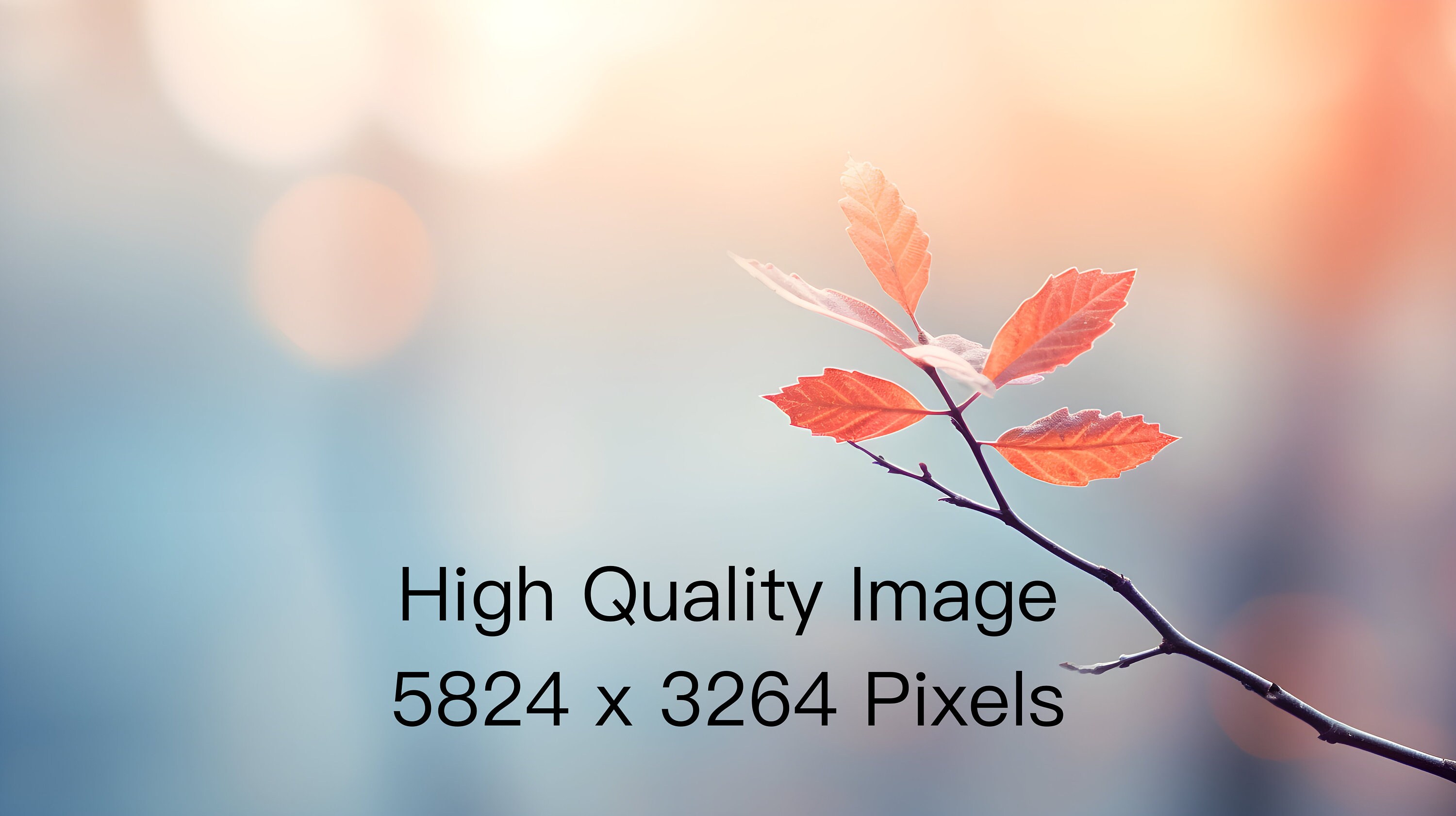 Fall Desktop Background Wallpaper, Leaves Wallpaper, Fall Wallpaper ...