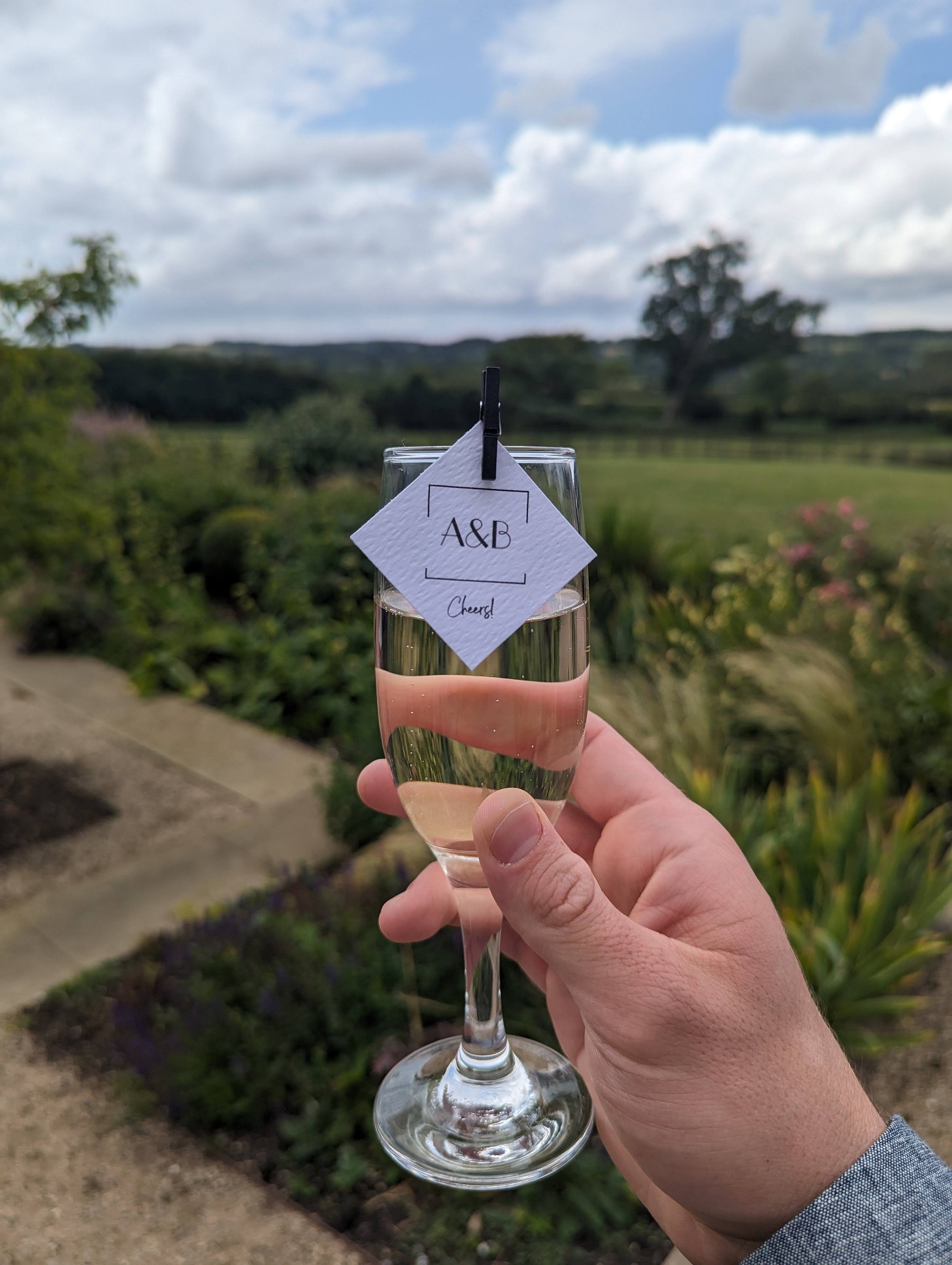 Drinks Topper Template, Wine Glass Tag Template, Printable Glass Topper ...