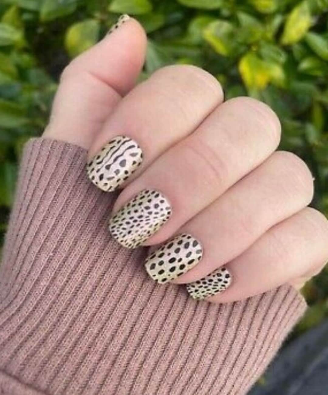 Color Street Nails, Color Street Strips, Purr Dium, Press on Nails ...