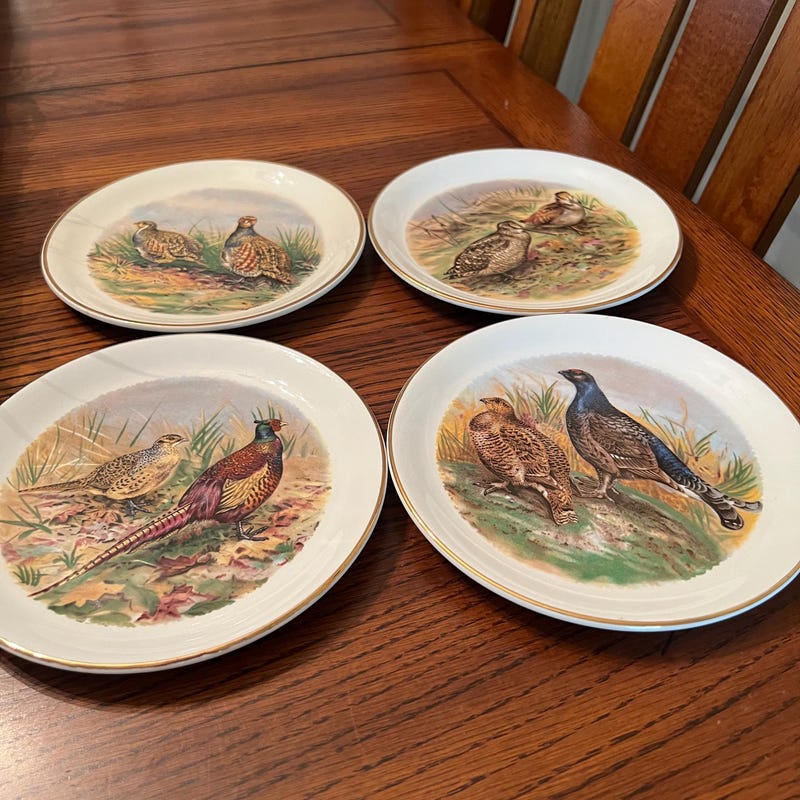 Bird Plates - Etsy