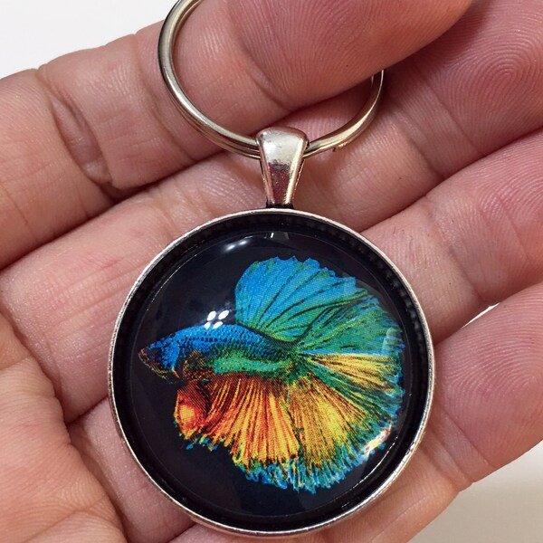 Betta Fish Art - Etsy