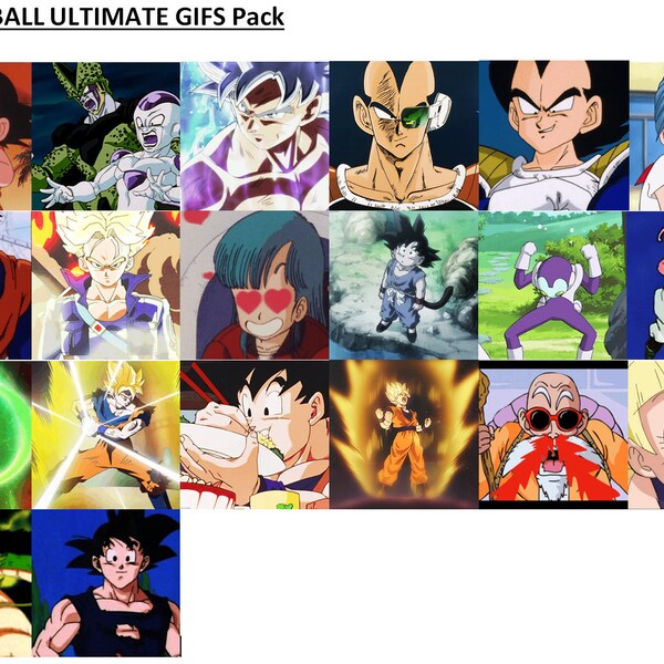 Dragonball Overlay - Etsy