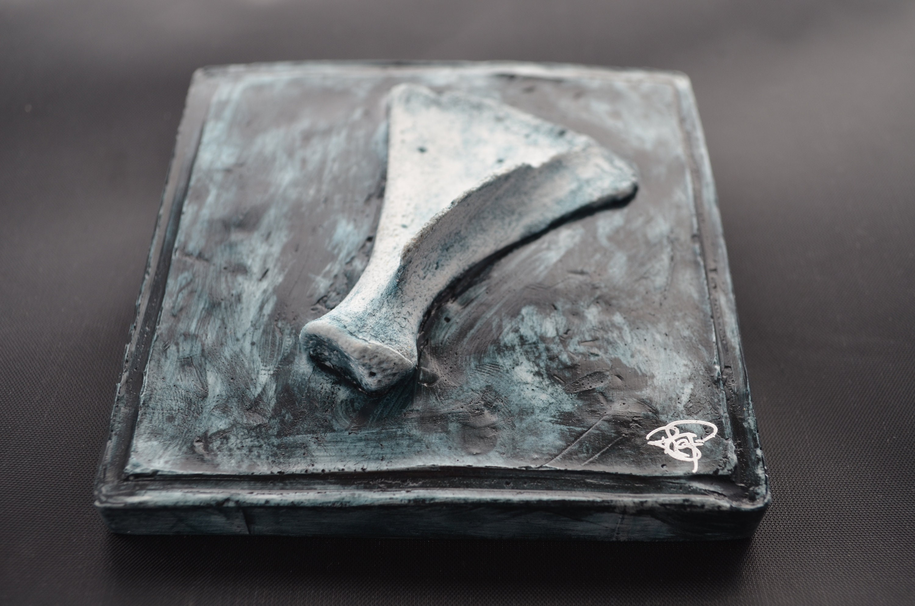 Lamb Scapula Plaster Cast Wall Plaque. NOT REAL BONE. Decorative Tile ...