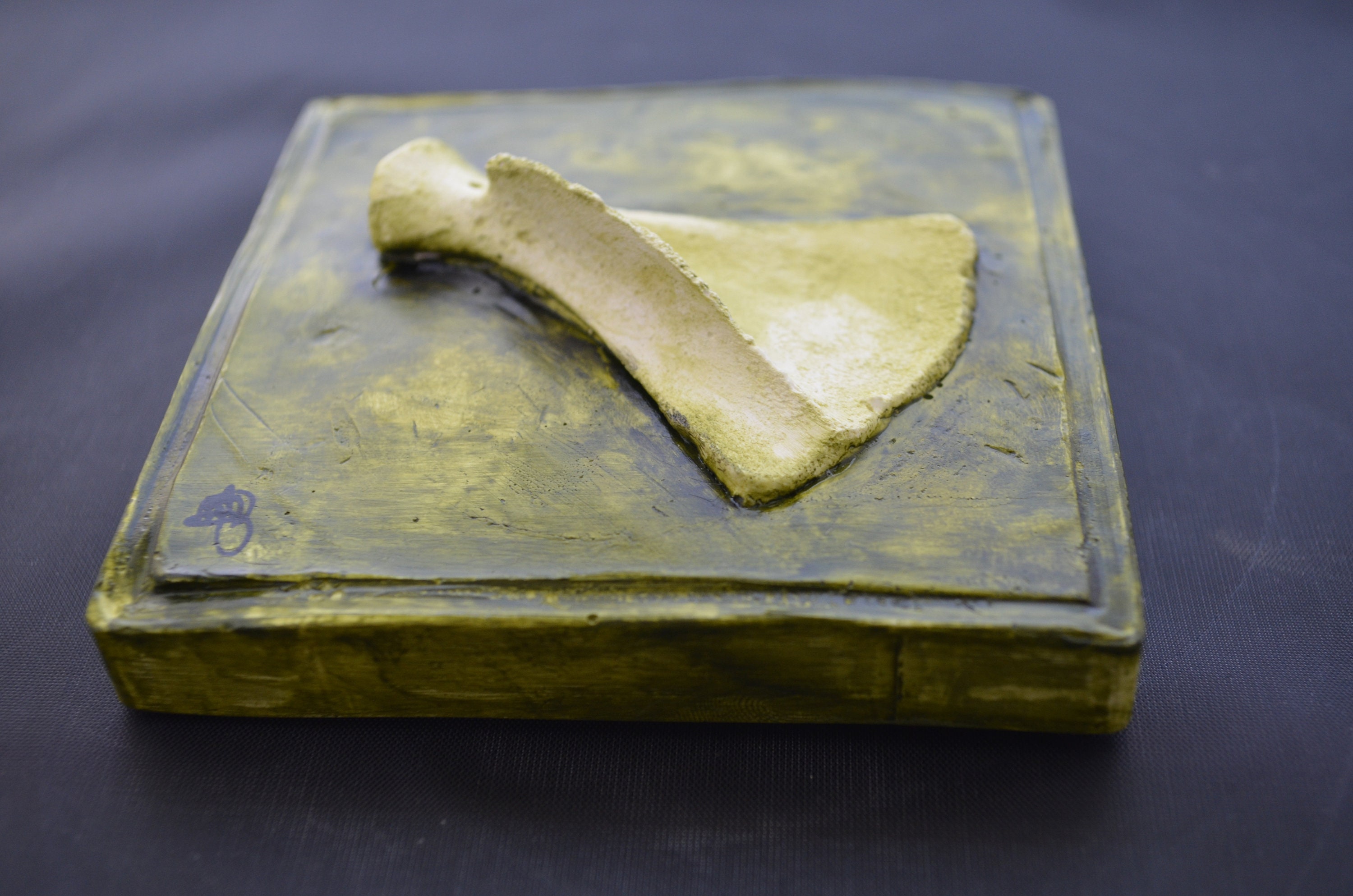 Lamb Scapula Plaster Cast Wall Plaque. NOT REAL BONE. Decorative Tile ...