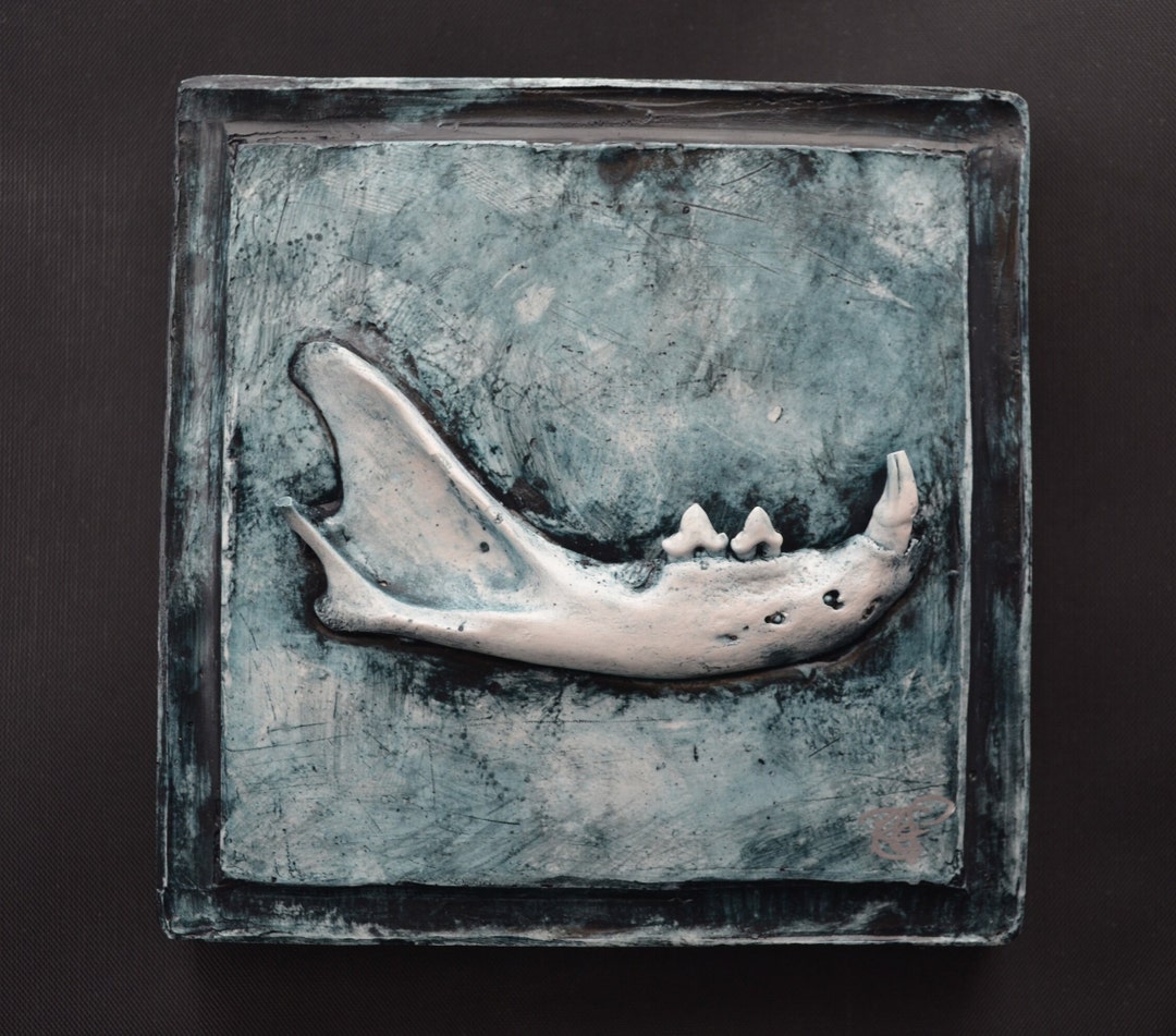 Cat Jaw Bone Plaster Cast Wall Plaque. Decorative Tile. NOT REAL BONE ...