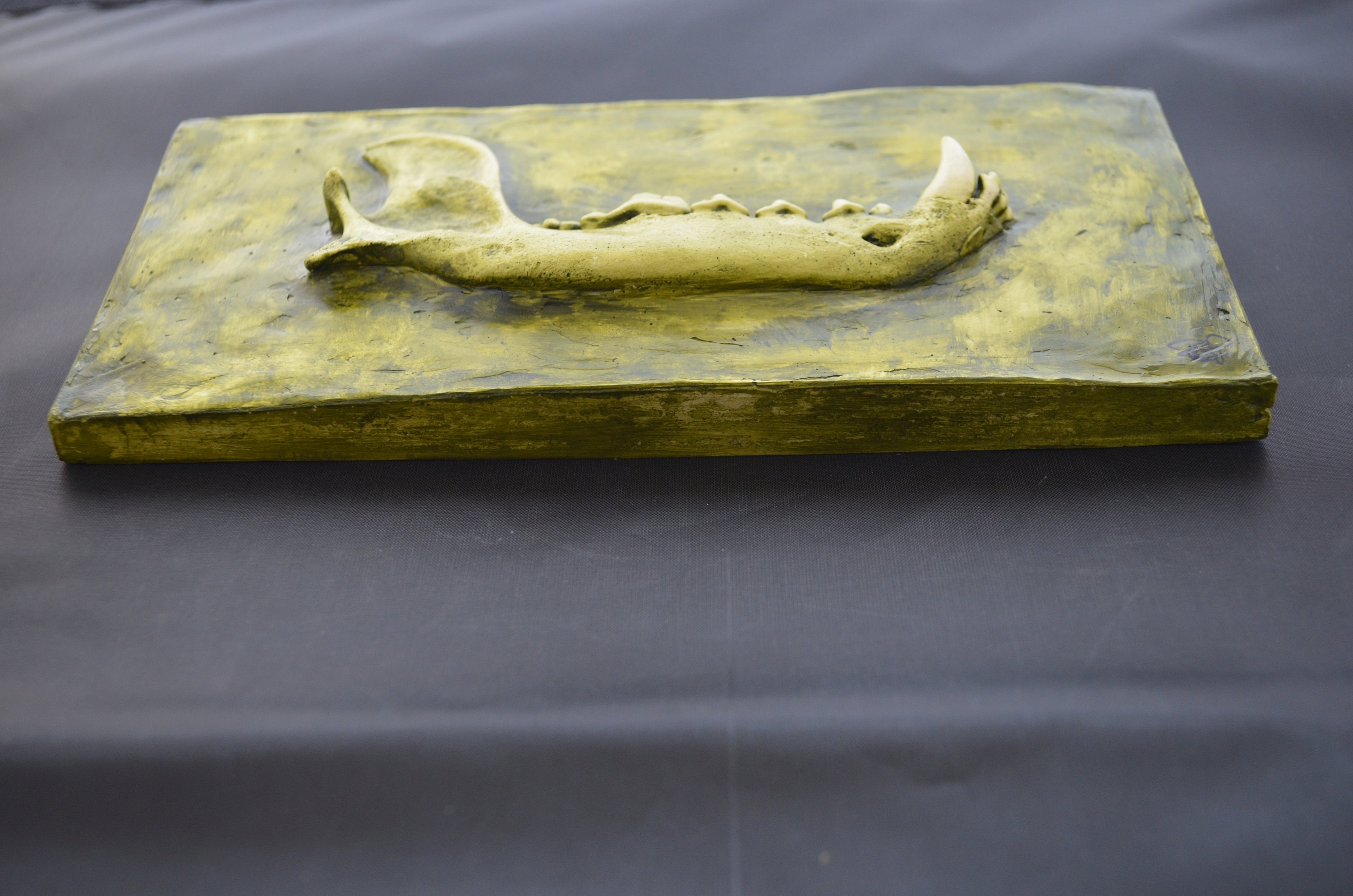 Dog Jaw Bone Plaster Cast Wall Plaque. NOT REAL BONE. Decorative Tile ...