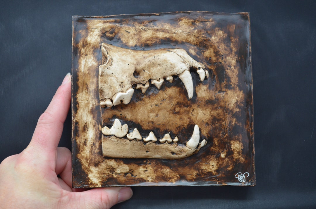 Coyote Skull Plaster Cast Wall Plaque. NOT REAL BONE. Decorative Tile ...