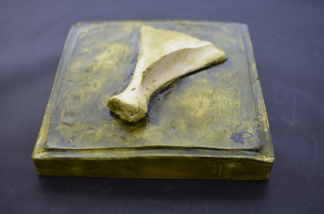 Lamb Scapula Plaster Cast Wall Plaque. NOT REAL BONE. Decorative Tile ...