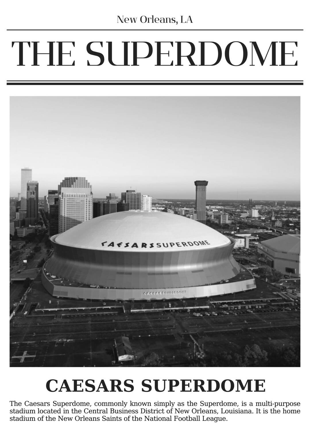 Superdome Poster - Etsy