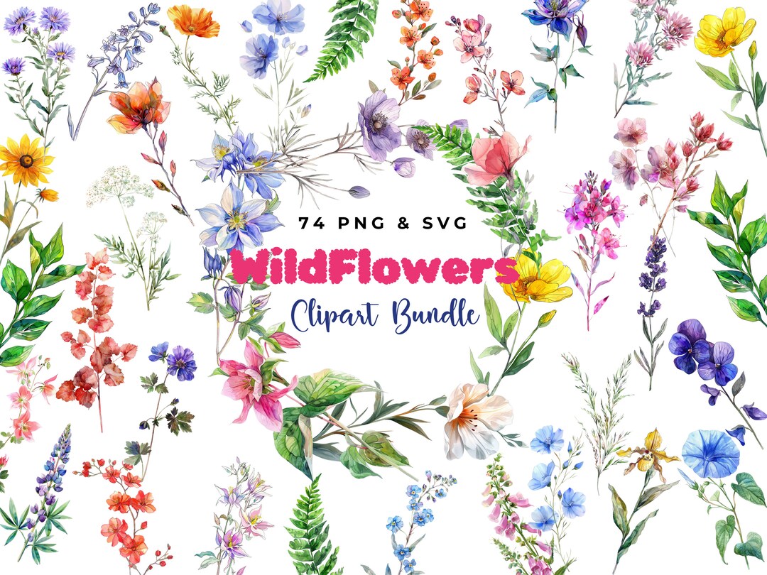 Wildflower Clipart, Wildflower Png, Wildflower Svg, Wedding Clipart ...