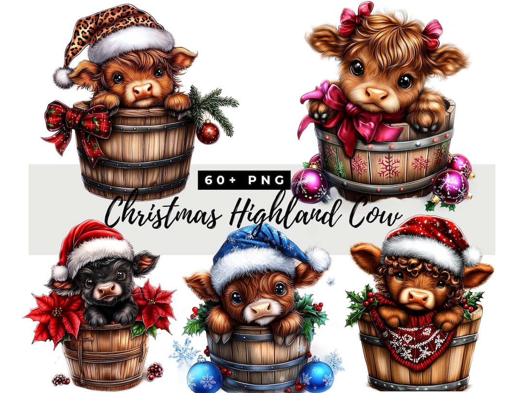 Christmas Highland Cow in Bucket Clipart, Cute Festive Cow PNG, Funny ...