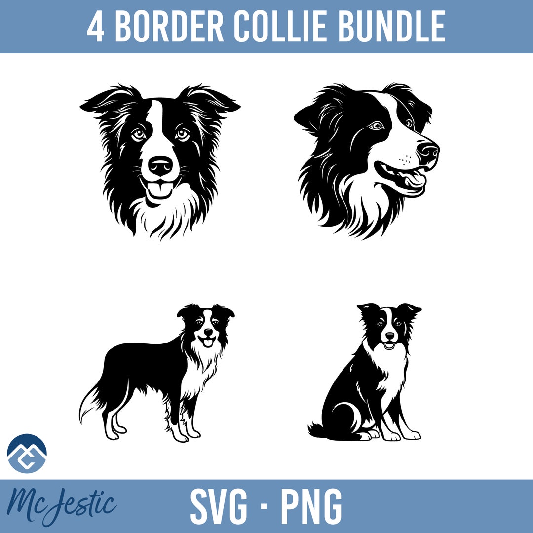 4 Border Collie SVG Bundle Commercial Use PNG Files Instant - Etsy