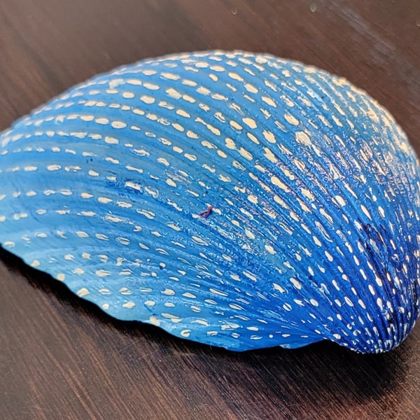 Painted Shells - Etsy