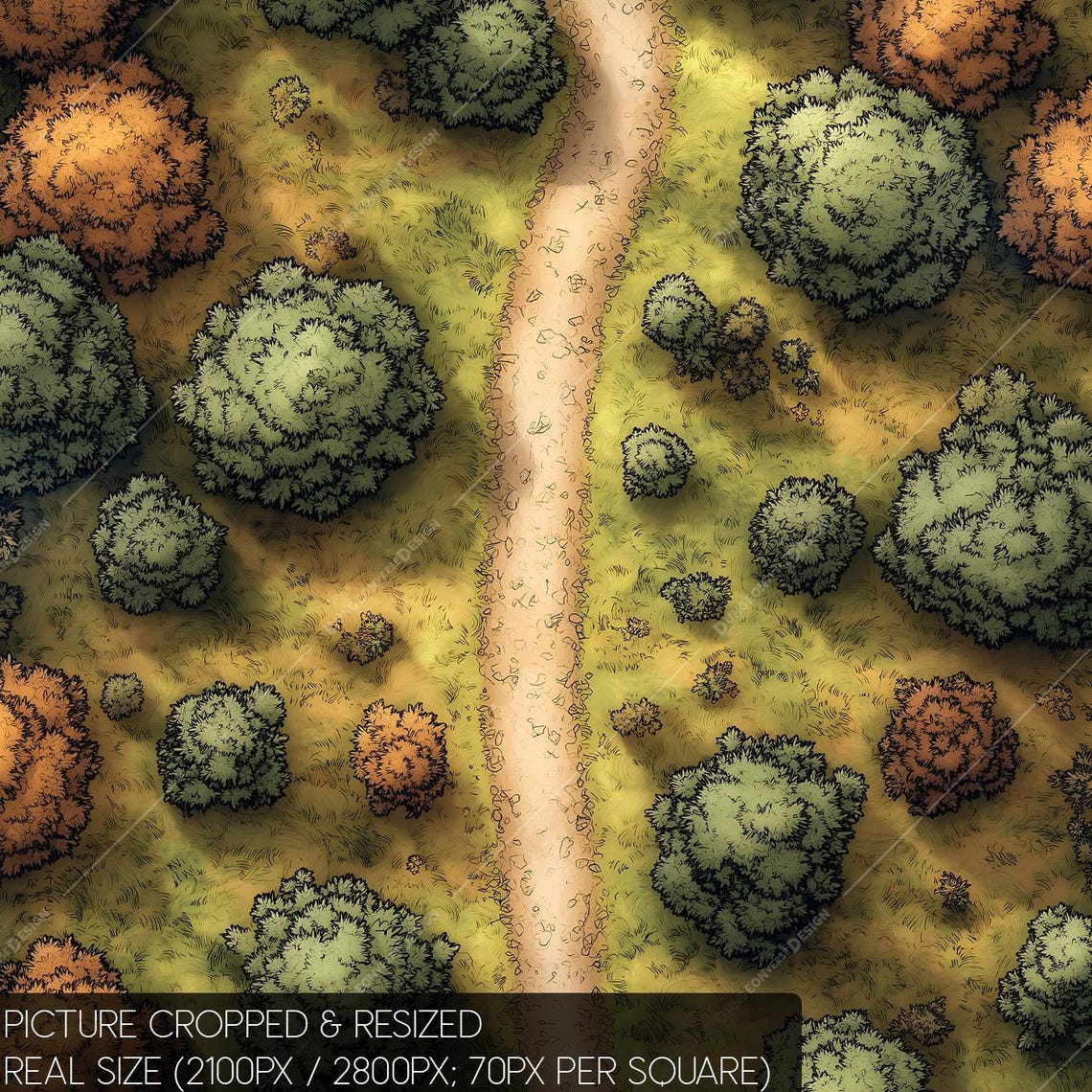 RPG Battlemap: Forest Dnd Battle Map Woods for Roll20 Woodland ...