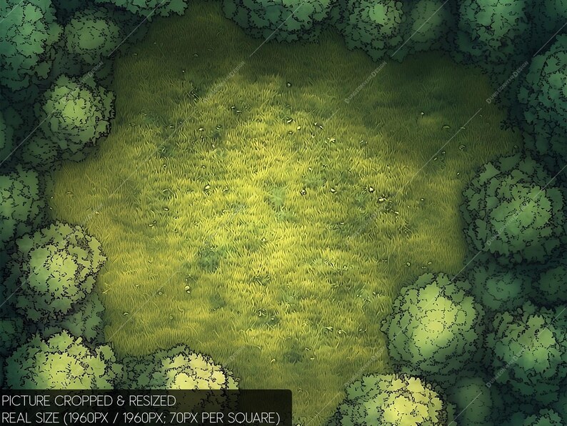 RPG Battlemap: Forest Dnd Battle Map Woods for Roll20 Woodland ...