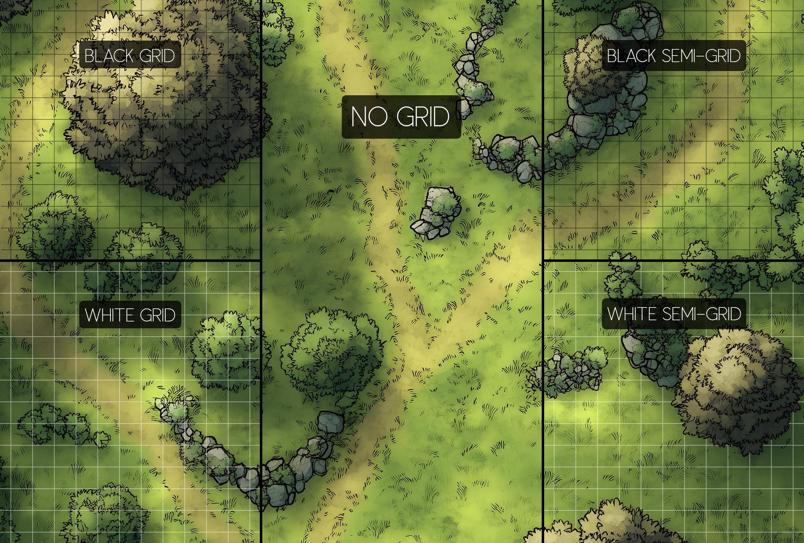 RPG Battlemap: Forest Dnd Battle Map Woods for Roll20 Woodland ...