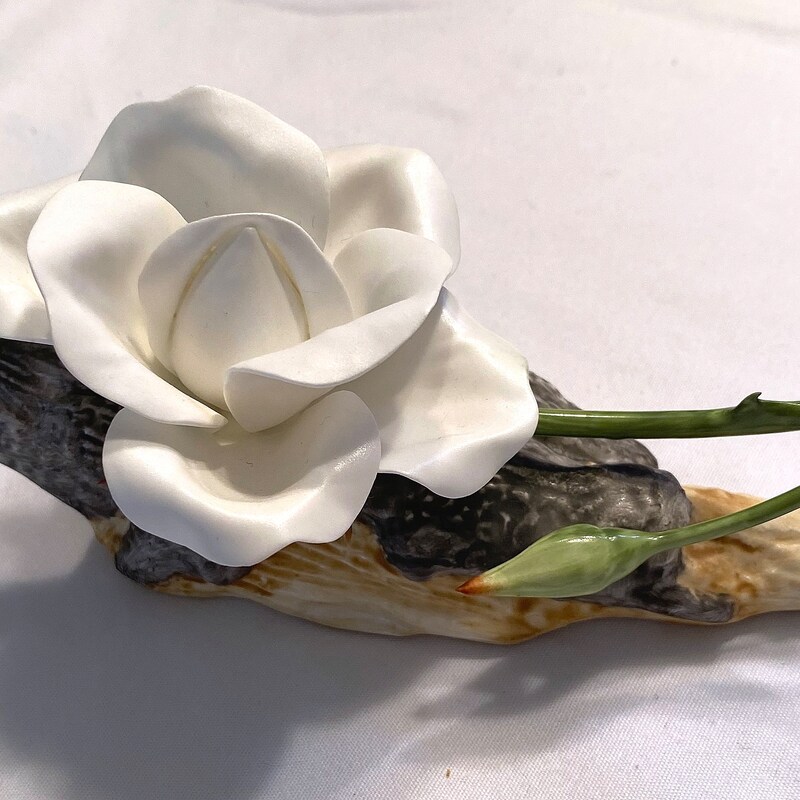 Roses on Porcelain - Etsy