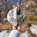 Monstera Albo Crochet Pattern: Swiss Cheese Leaf (english PDF Pattern ...