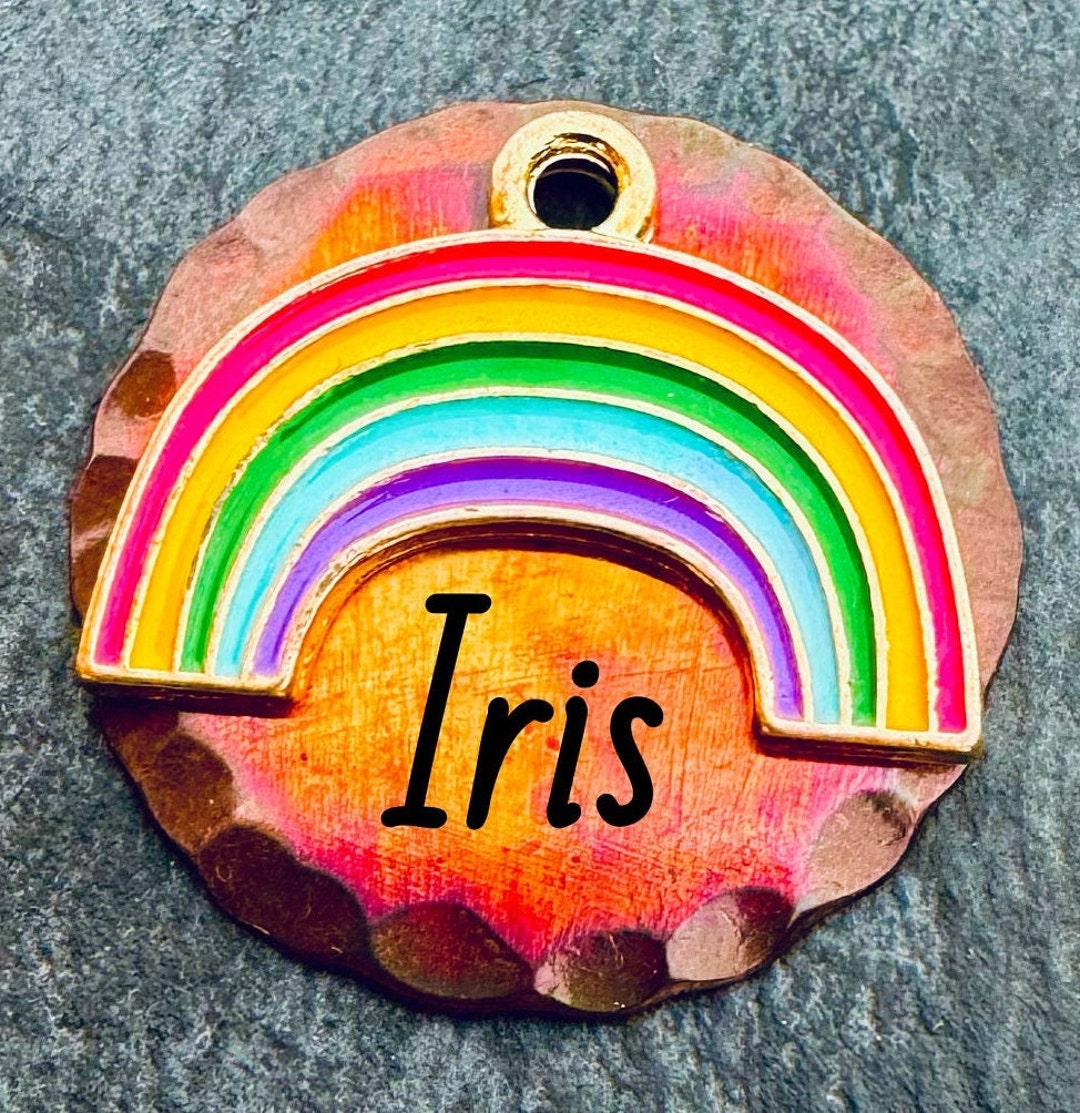 Rainbow Dog Tag, Pride Pet Tag, Dog Tags for Dogs, Storm ID Tag, Dog ...