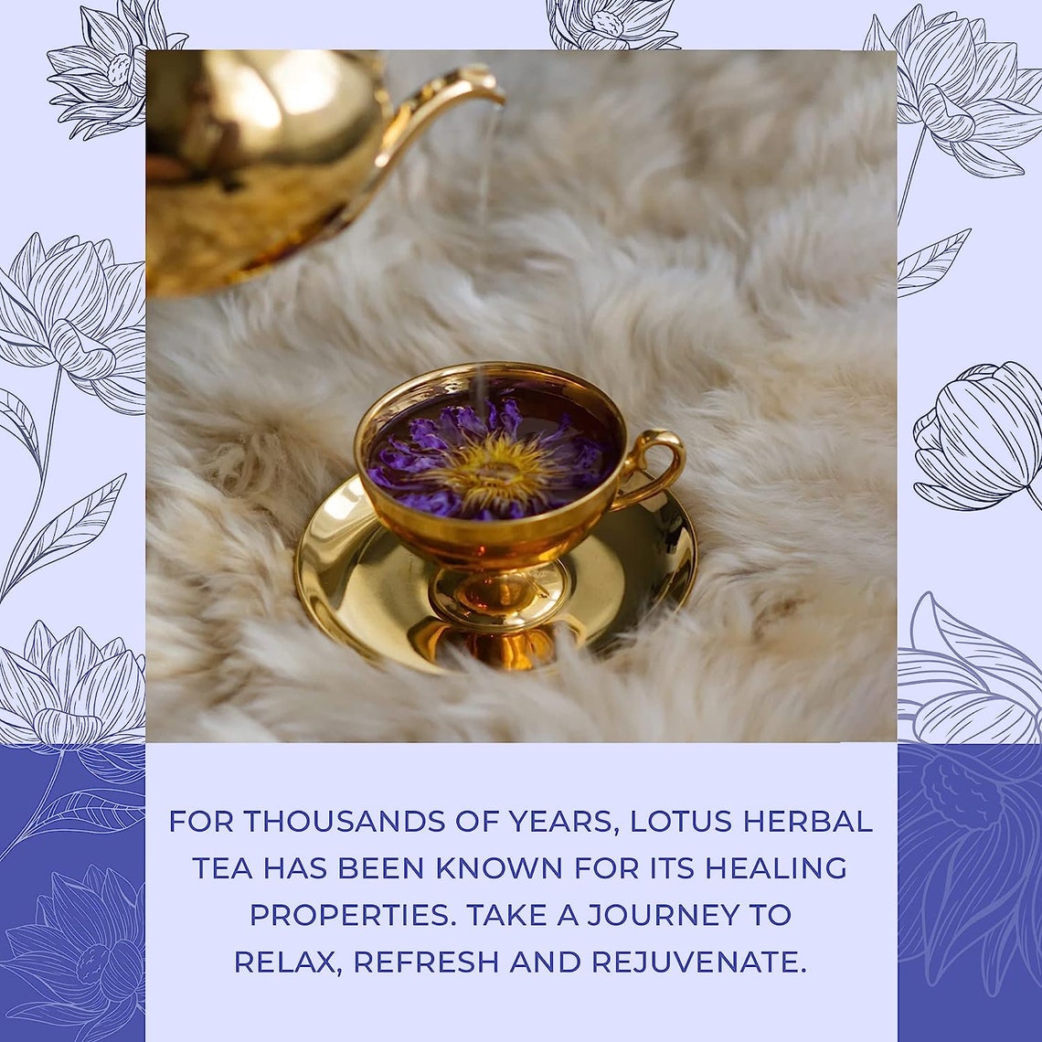 Organic Egyptian Lotus Whole Flowers - Premium Dried Nymphaea Caerulea ...