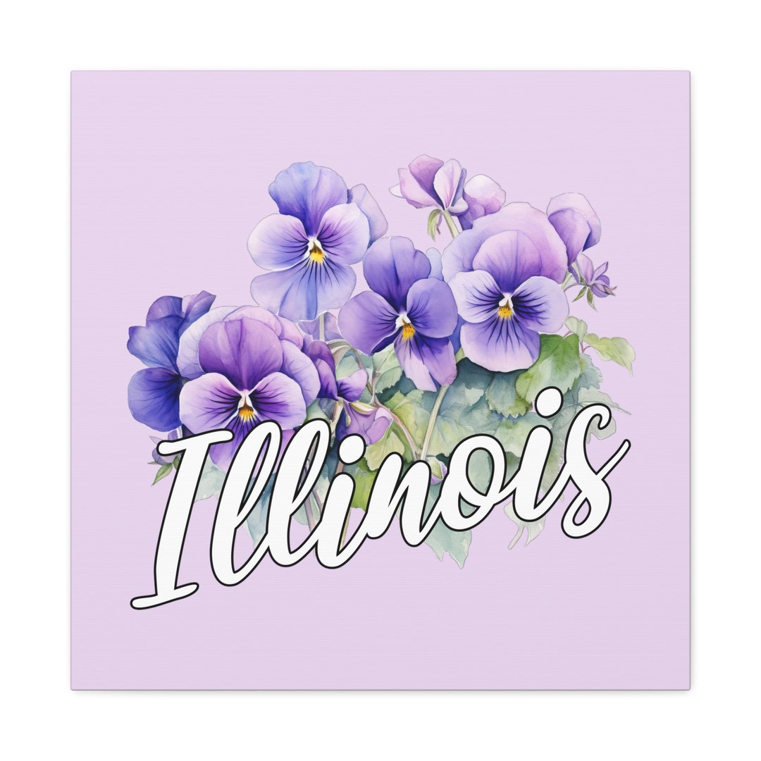Illinois Violet Print State Flower Wall Art Stretched Canvas Wrap ...