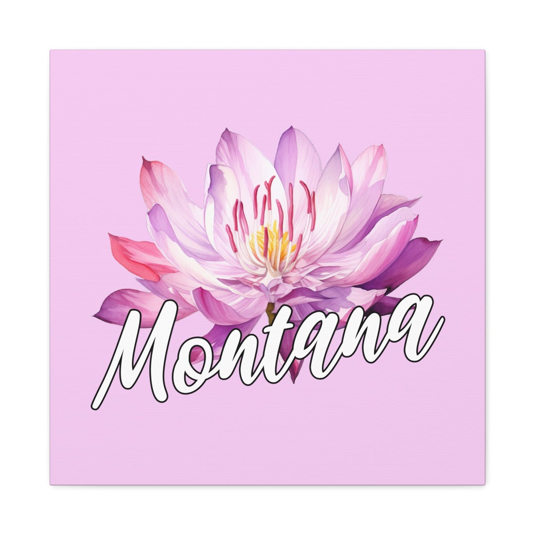 Montana Bitterroot Print State Flower Wall Art Stretched Canvas Wrap ...