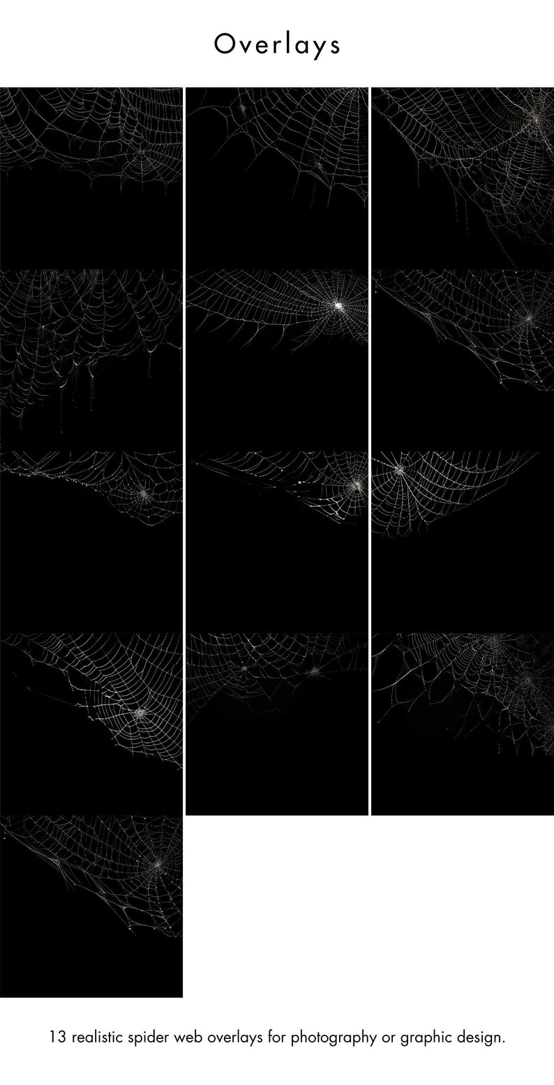 13 Spider Web Overlay Set: Realistic Cob Webs for Spooky - Etsy