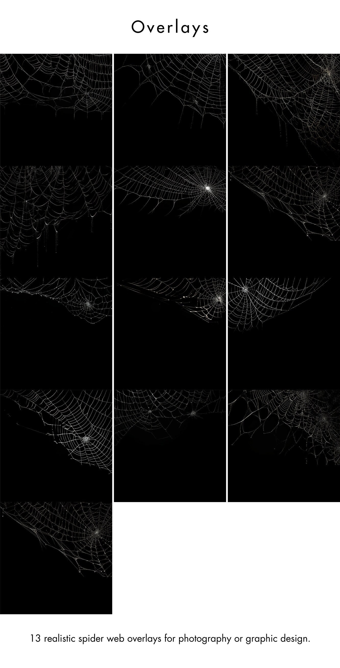 13 Spider Web Overlay Set: Realistic Cob Webs for Spooky - Etsy