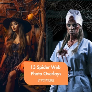 13 Spider Web Overlay Set: Realistic Cob Webs for Spooky Halloween ...