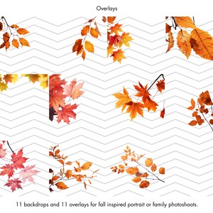 22 Fall Backdrops & Photo Overlays | Digital Autumn Forest Background ...