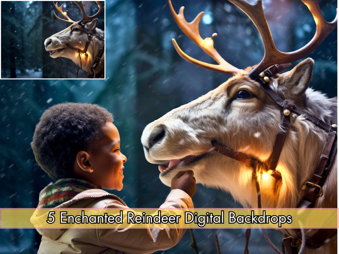 5 Holiday Reindeer Digital Photo Backdrops | Perfect for Kids Christmas ...